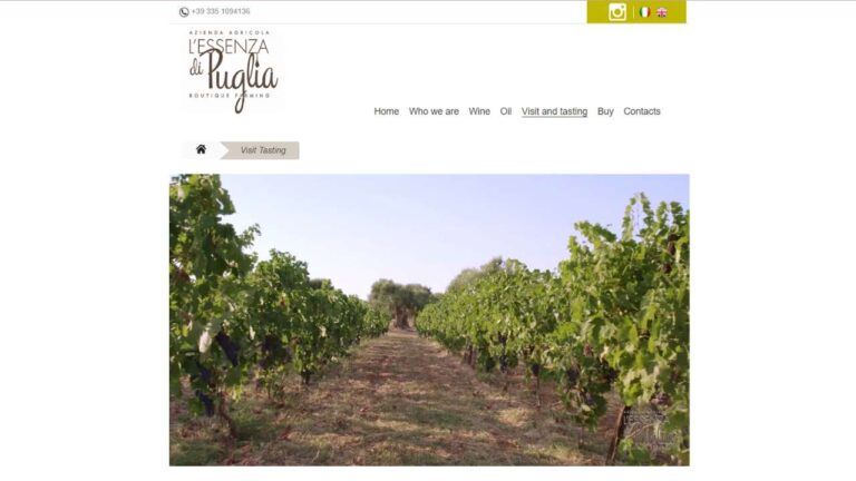 A List of the Best Wine Tasting in Puglia Italy - Italy Cooking Schools