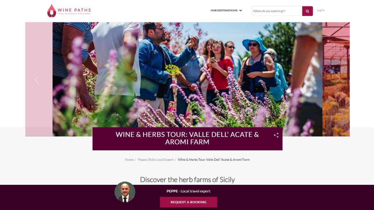 Best Wine Tours in Sicily for any type of wine lovers vacations ...